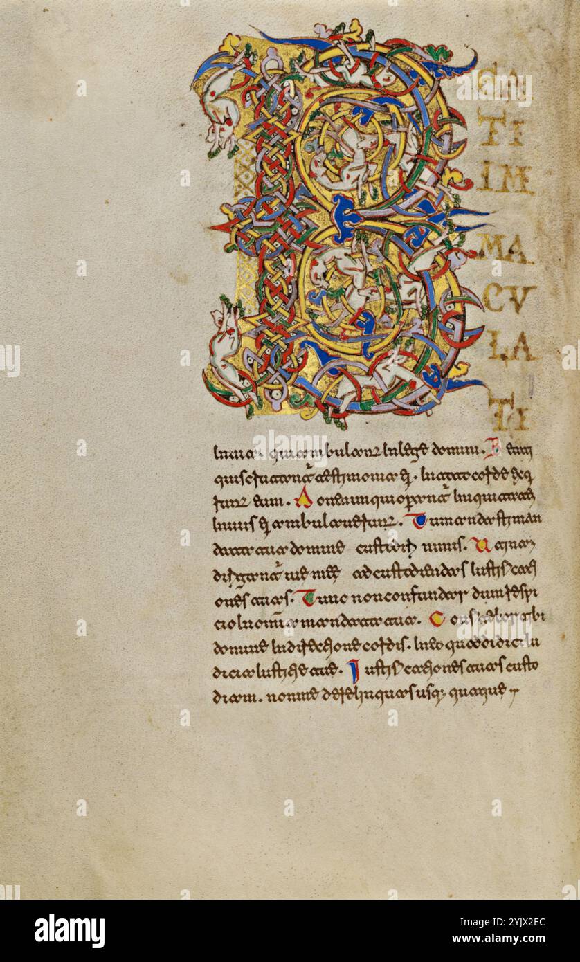Medieval illuminated letter b hi-res stock photography and images - Alamy