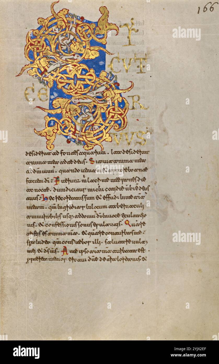 Inhabited initial hi-res stock photography and images - Alamy