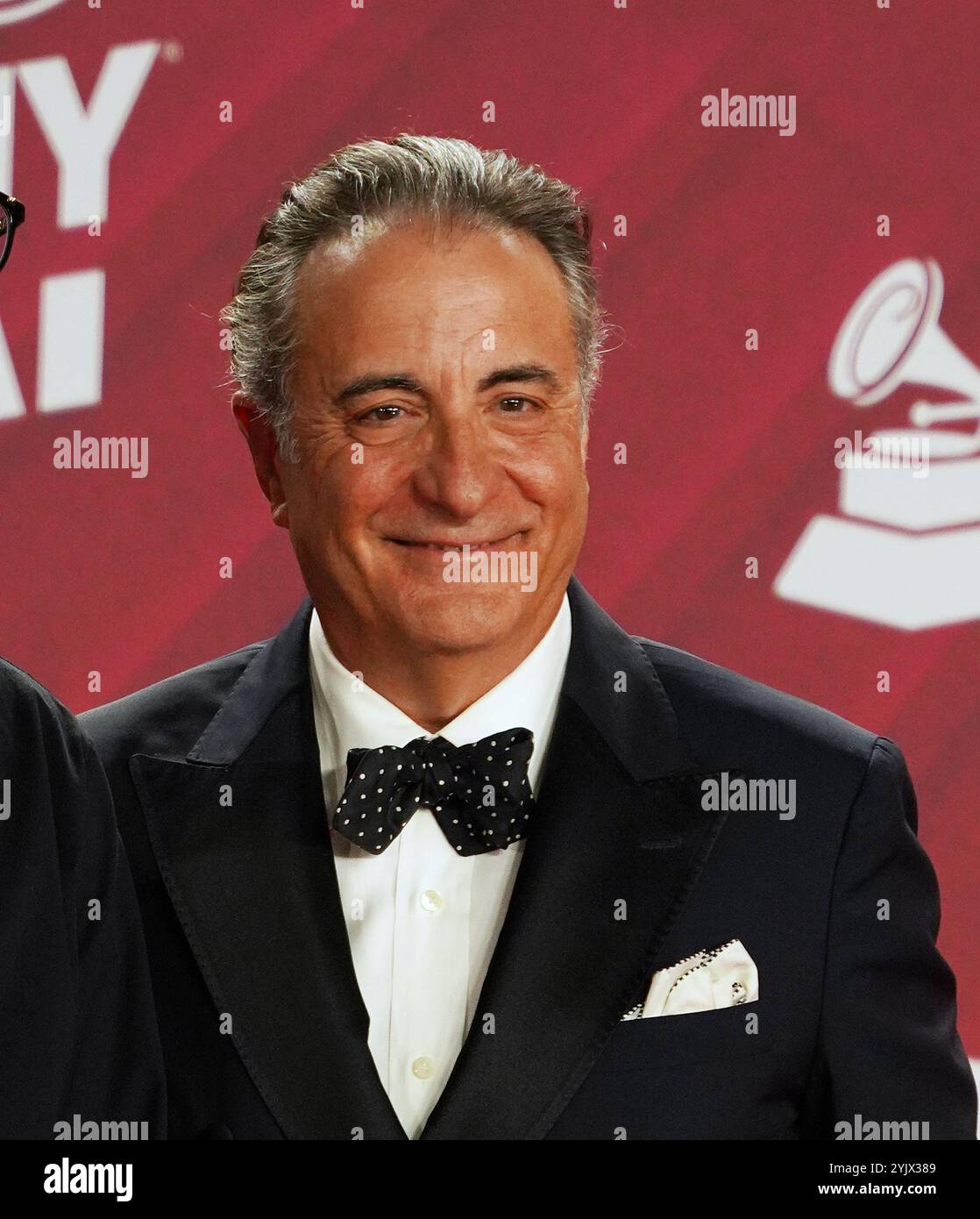 Miami, USA. 14th Oct, 2024. Andy García attends the 25th Latin GRAMMY ...