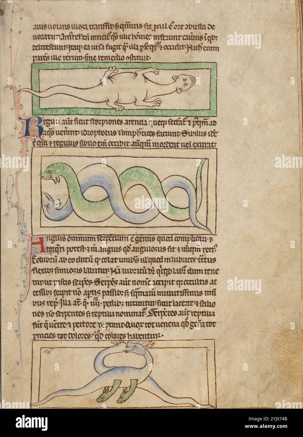 A Basilisk; Snakes; Vipers; Northumberland Bestiary, about 1250-1260 ...