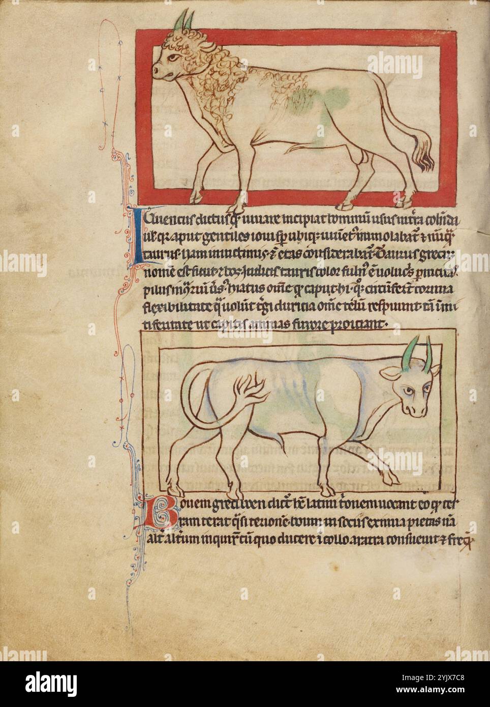 Bestiary bull hi-res stock photography and images - Alamy
