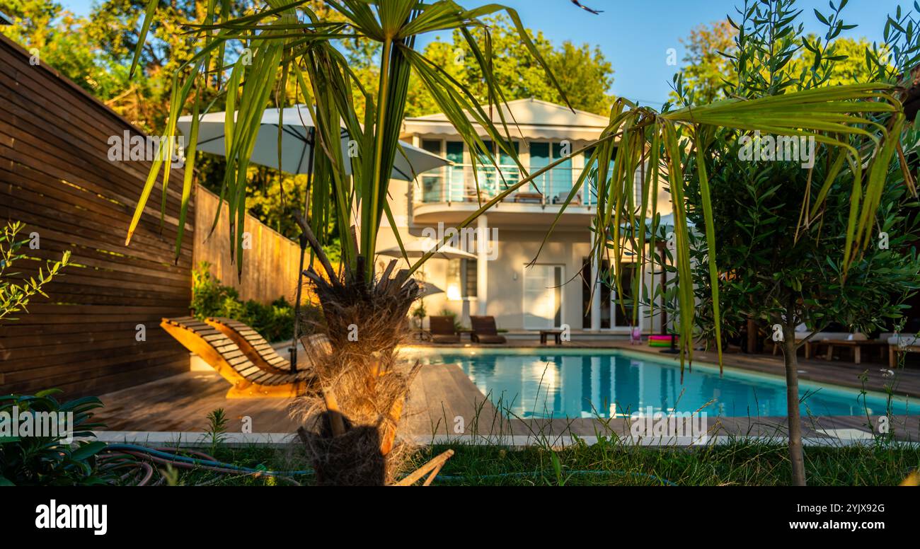 Modern villa with pool surrounded by lush greenery. Concept of luxury outdoor living and natural ...