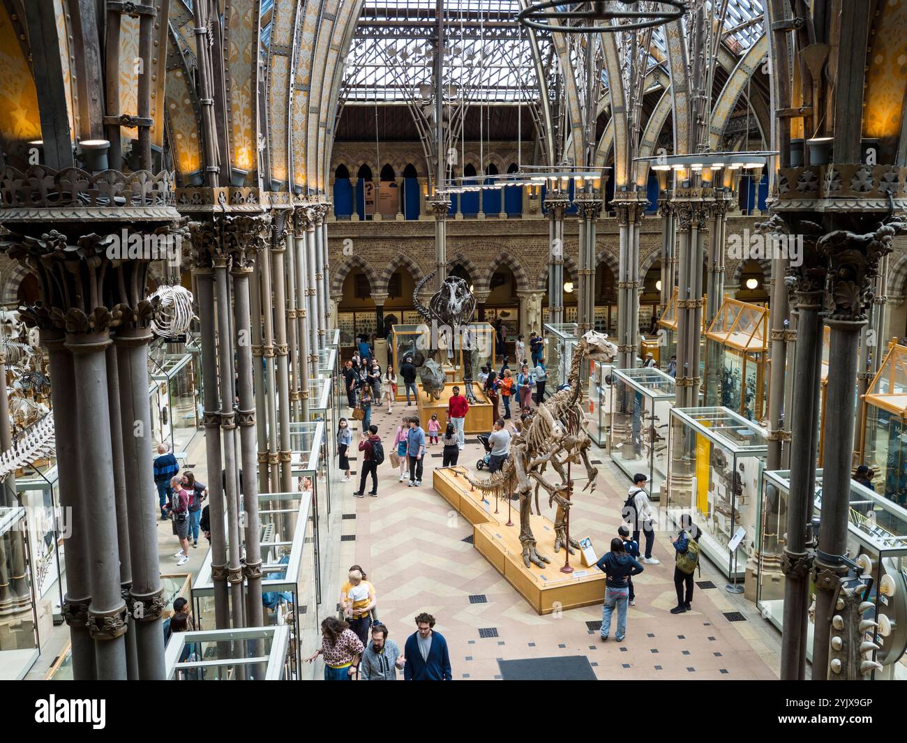 Oxford university museum natural hi-res stock photography and images - Alamy