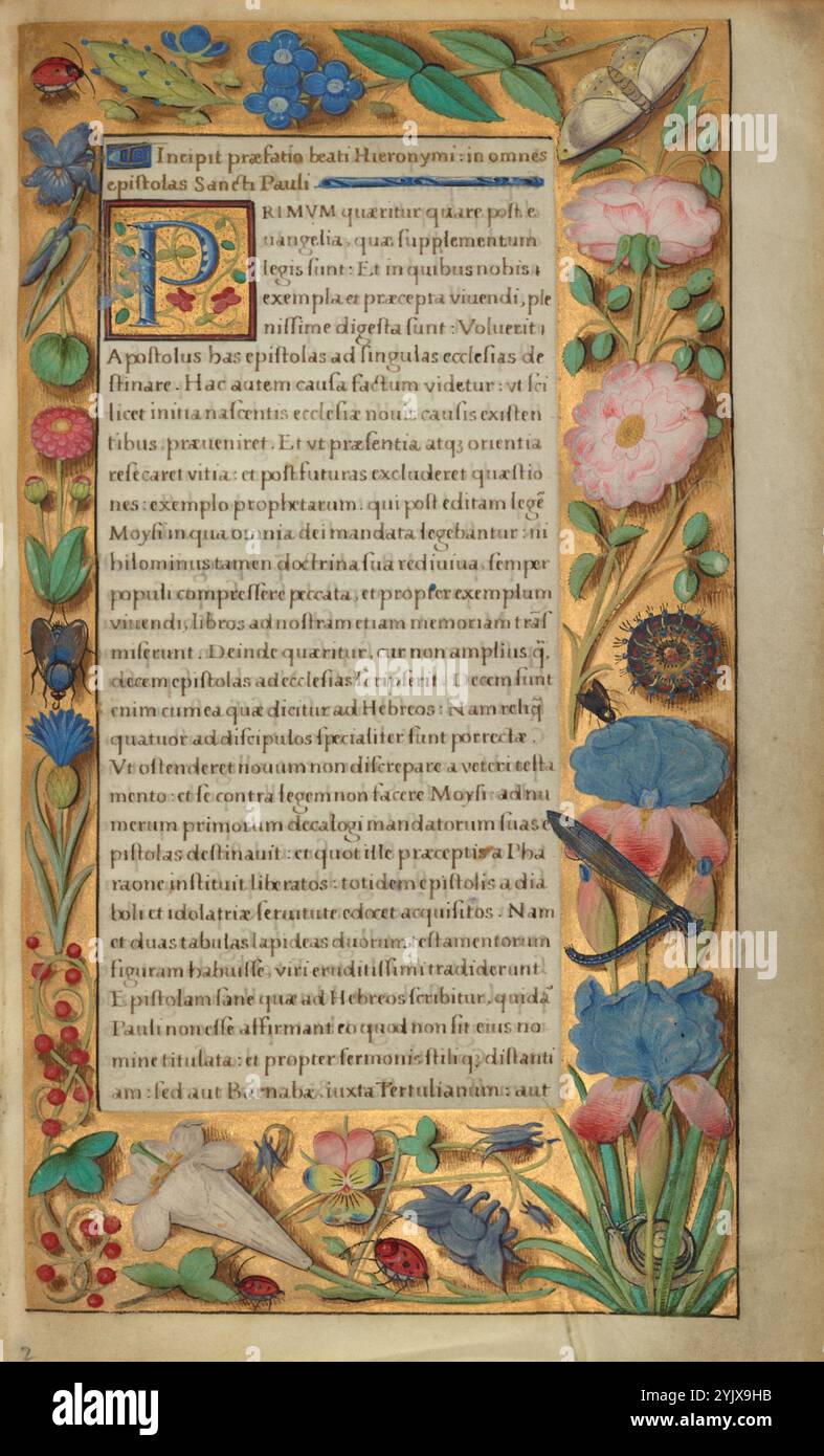 Decorated Text Page; Getty Epistles, about 1528-1530. Additional Info ...