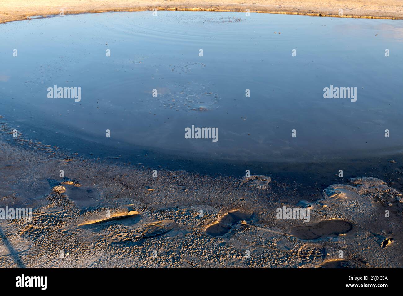 Wide view of a reflective mud pool surrounded by dry, cracked earth ...