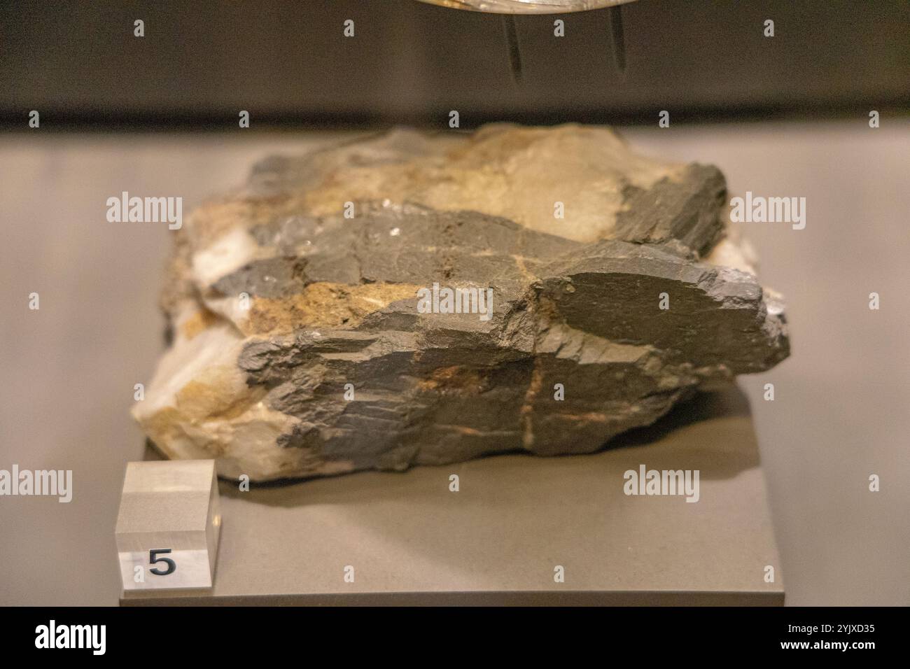 piece of tungsten encased in common stone on a shelf and enclosed in ...