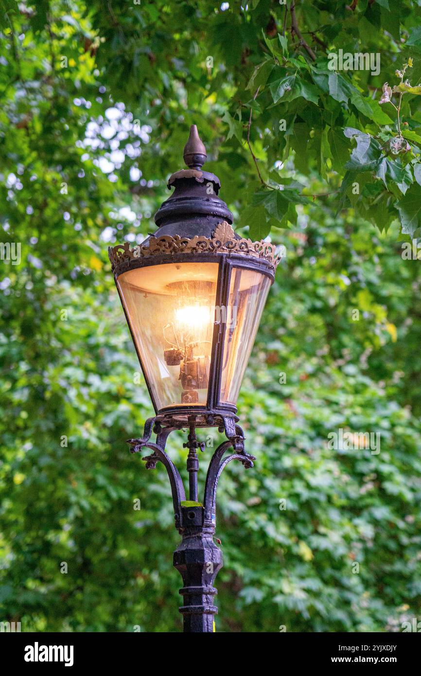 Bottom canopy hi-res stock photography and images - Alamy