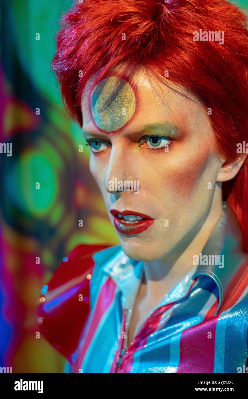 Human representation made in wax of the head and face of singer David ...