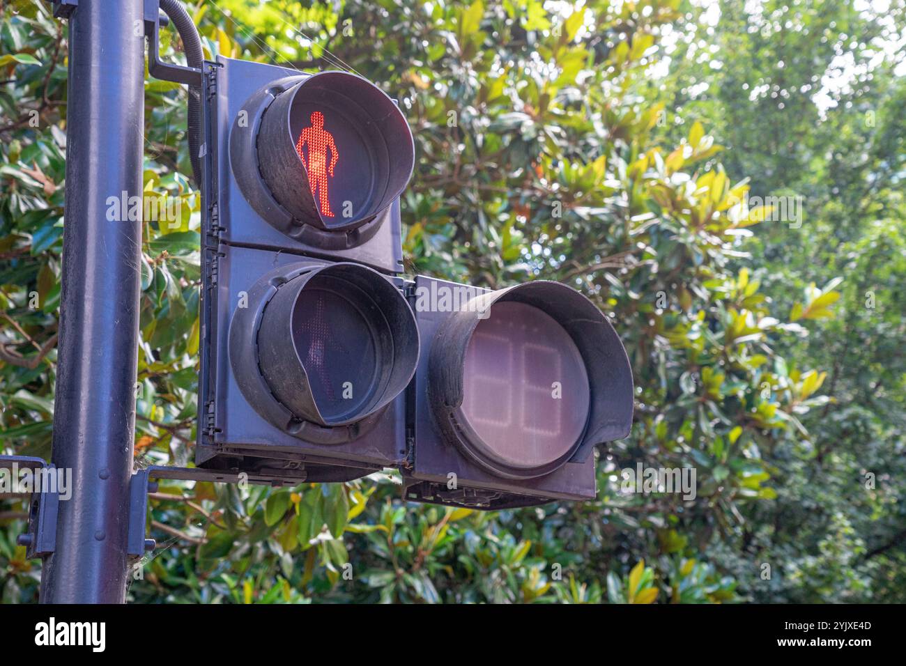 luminous pedestrian signal, commonly known as the tipico semaphore of ...