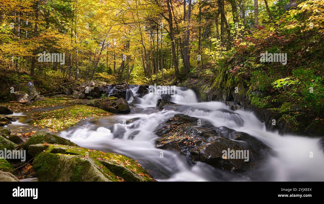river flowing down the rapids between the big rocks in the forest ...