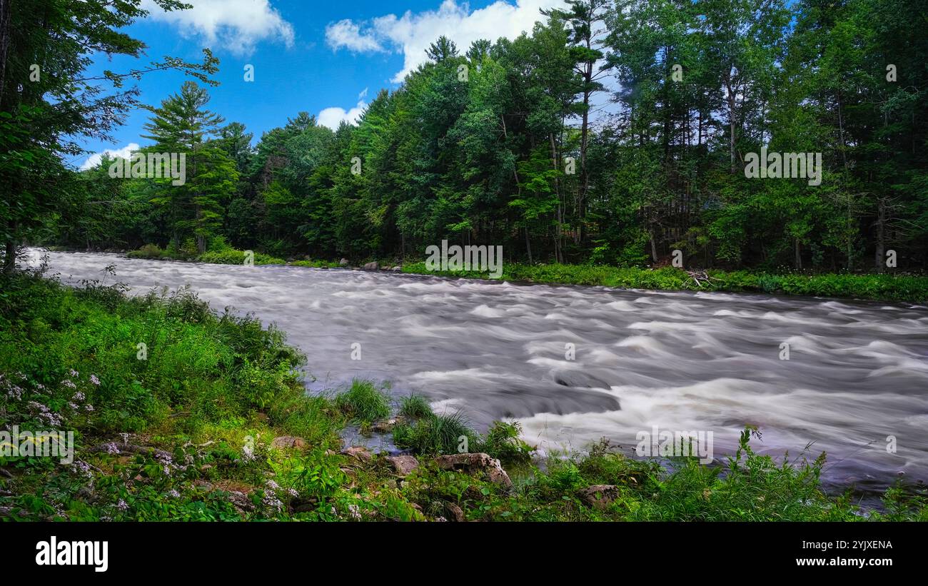 natural landscape of river in forest. desktop wallpaper, 16:9 ...