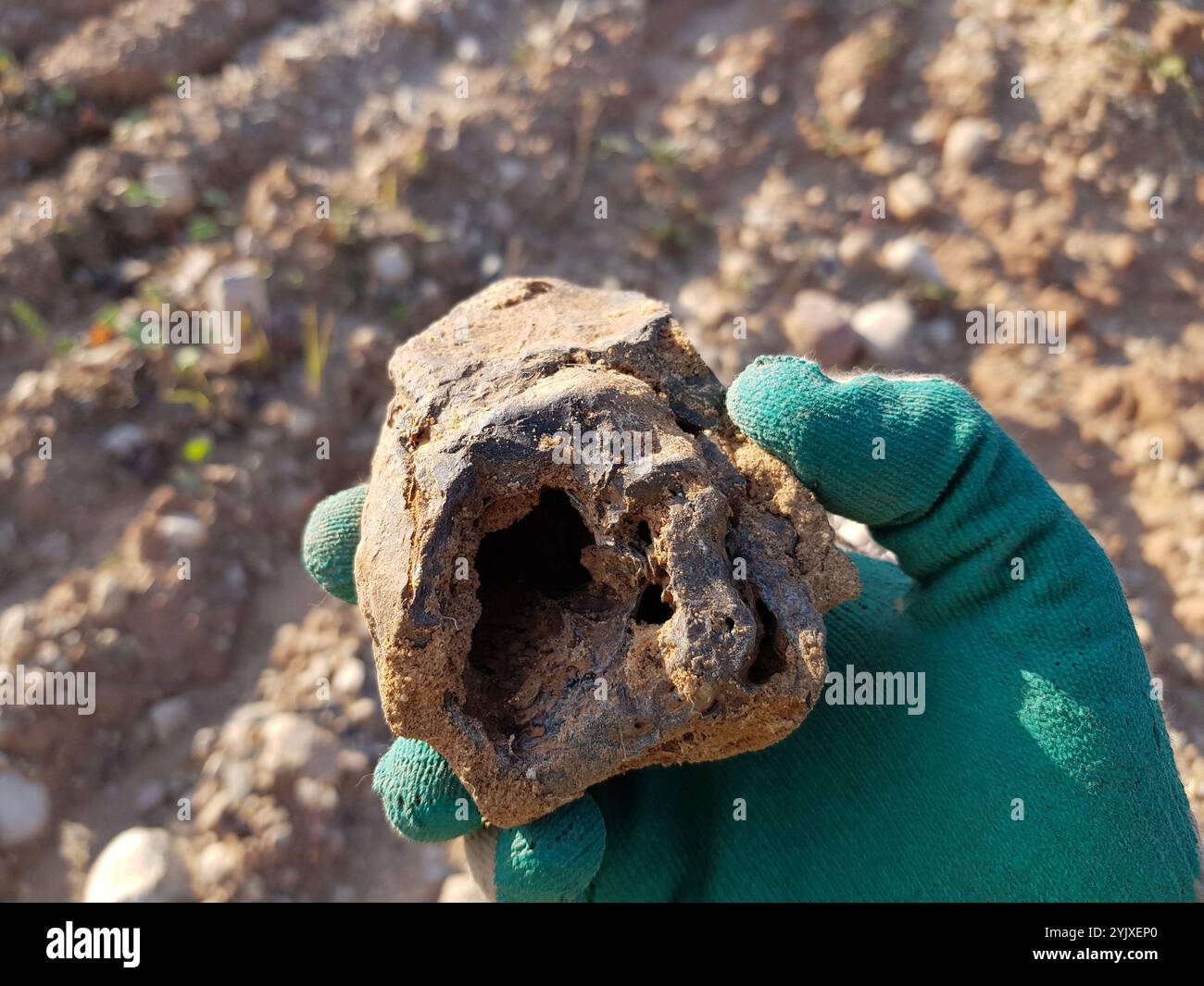 Limonite mineral rock sample hi-res stock photography and images - Alamy