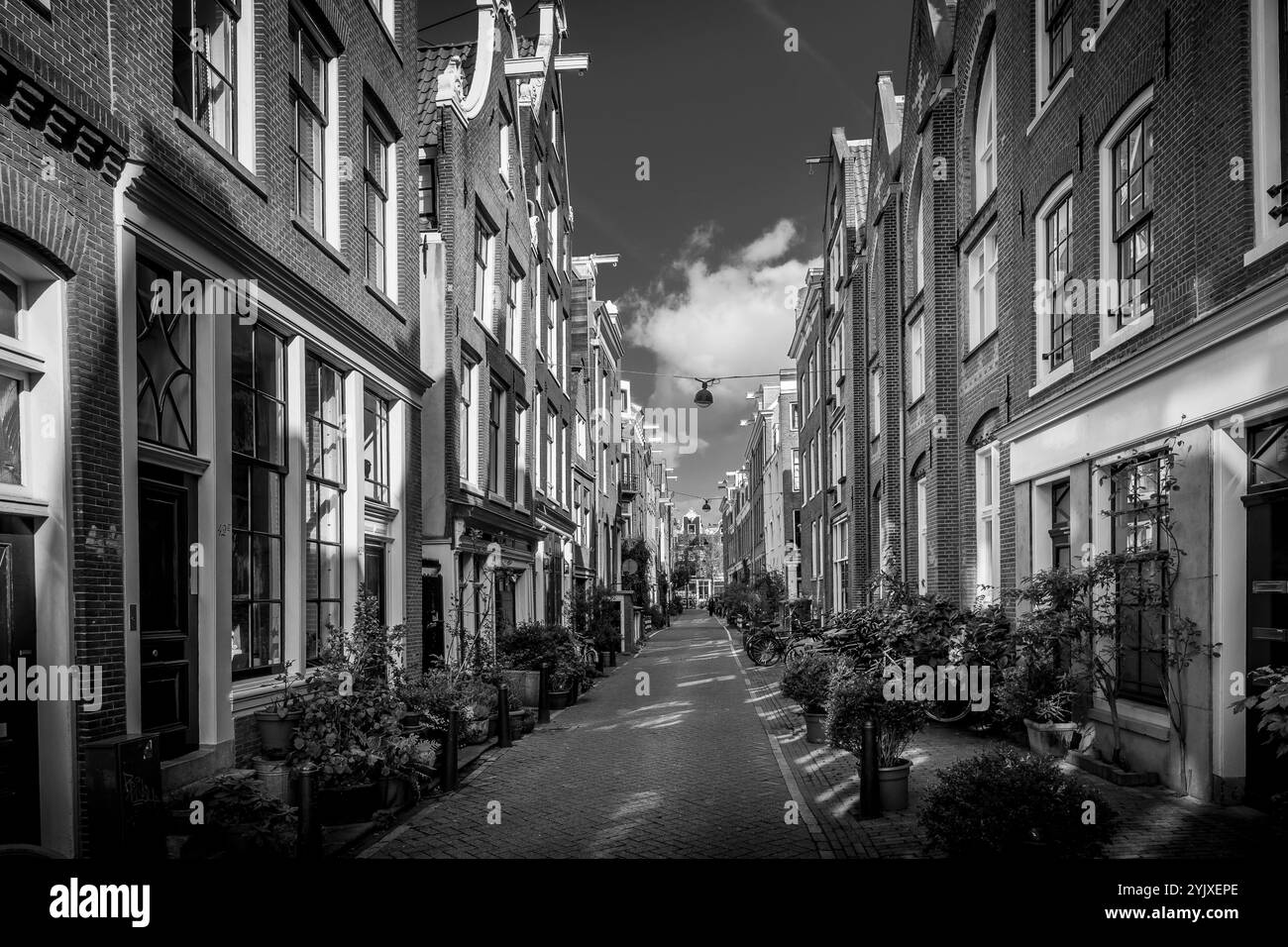 Street planters Black and White Stock Photos & Images - Alamy