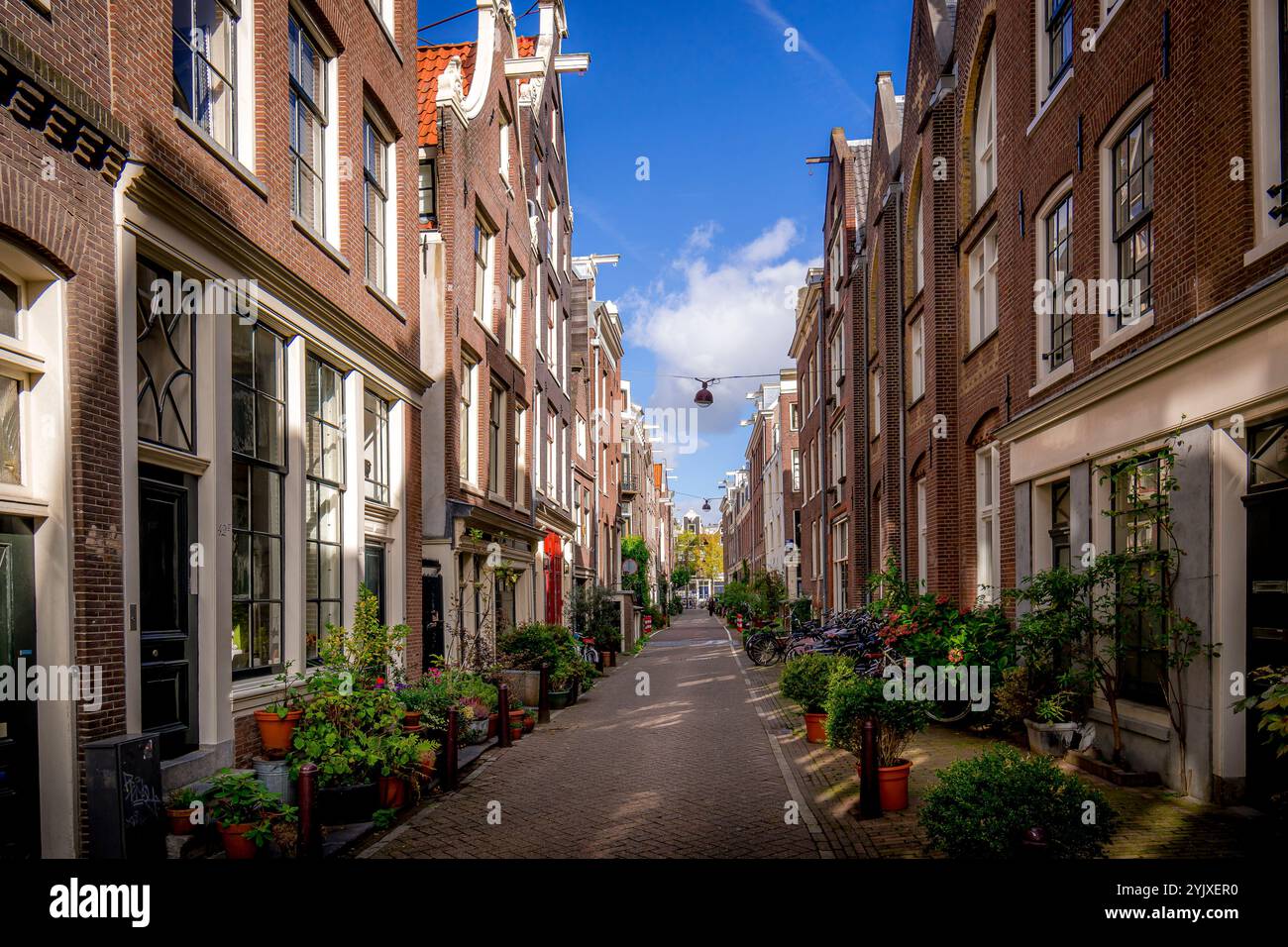 A narrow street in the historic center of Amsterdam lined with charming ...