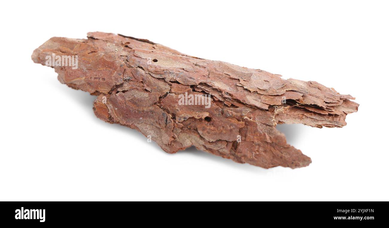 One piece of tree bark on white background Stock Photo - Alamy