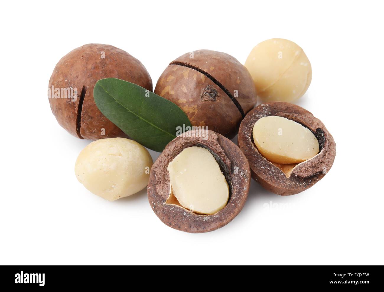Macadamia nuts with shells isolated on white Stock Photo - Alamy