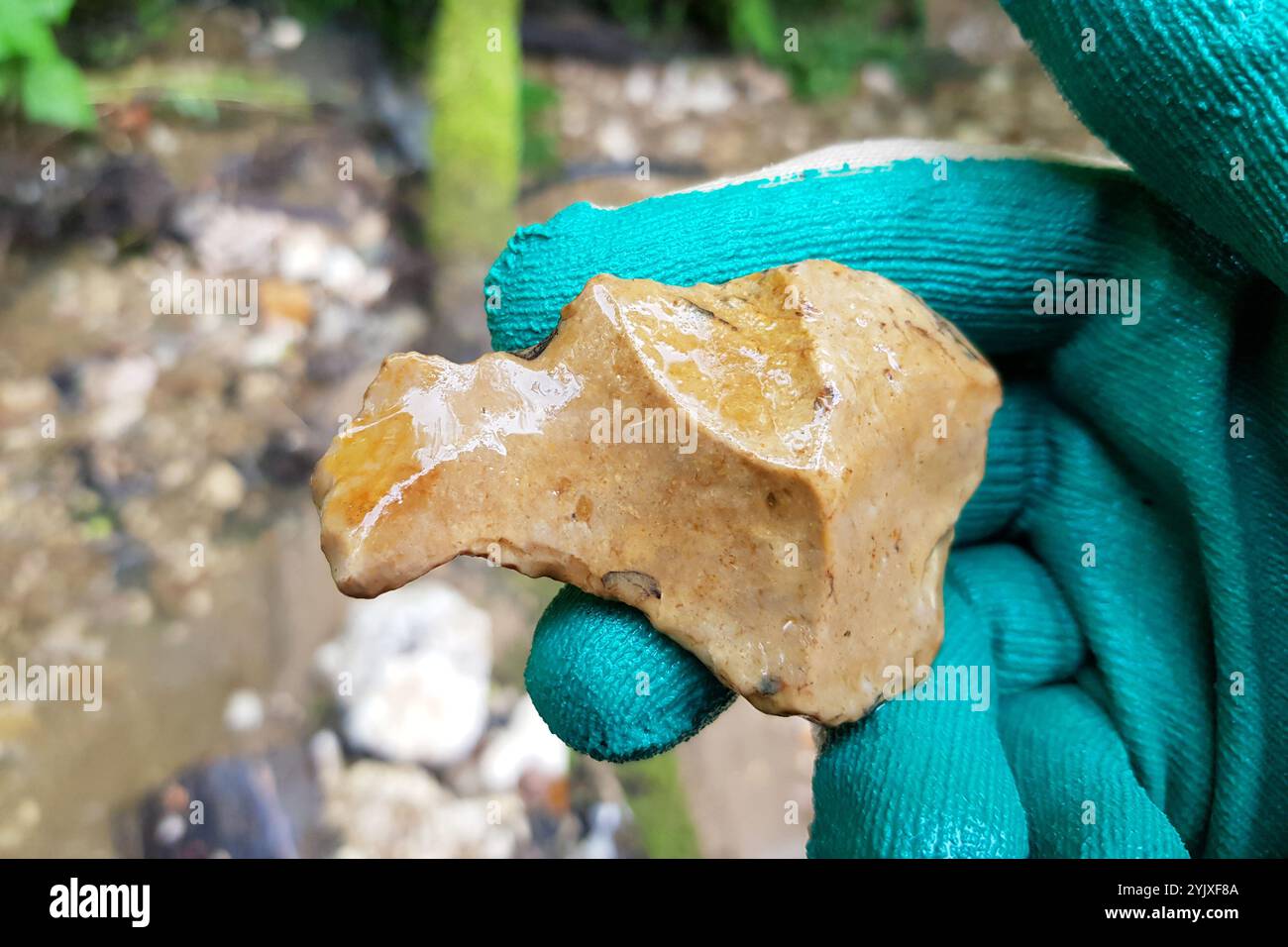 Mesolithic tool hi-res stock photography and images - Alamy