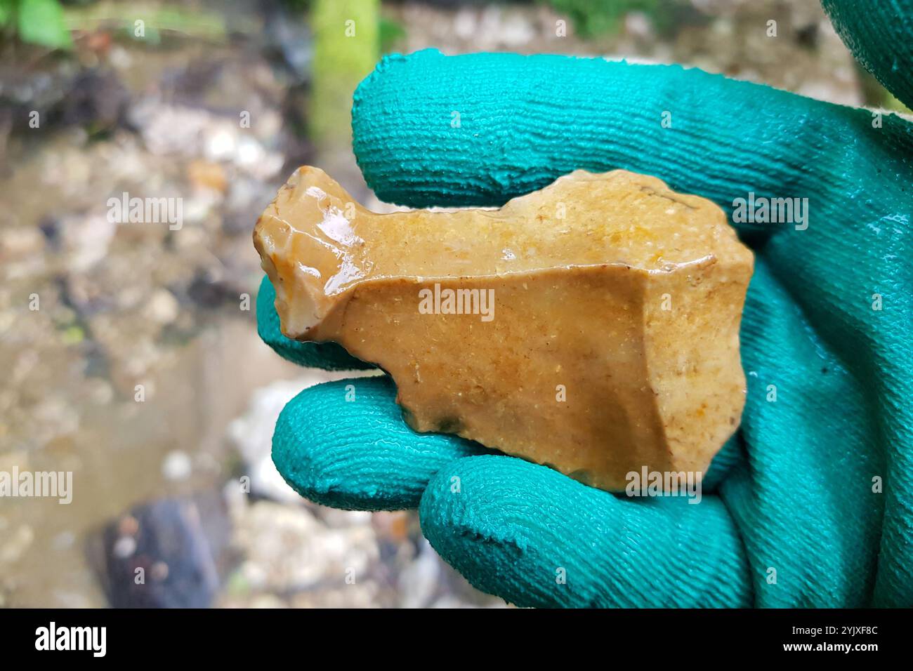 Mesolithic tool hi-res stock photography and images - Alamy