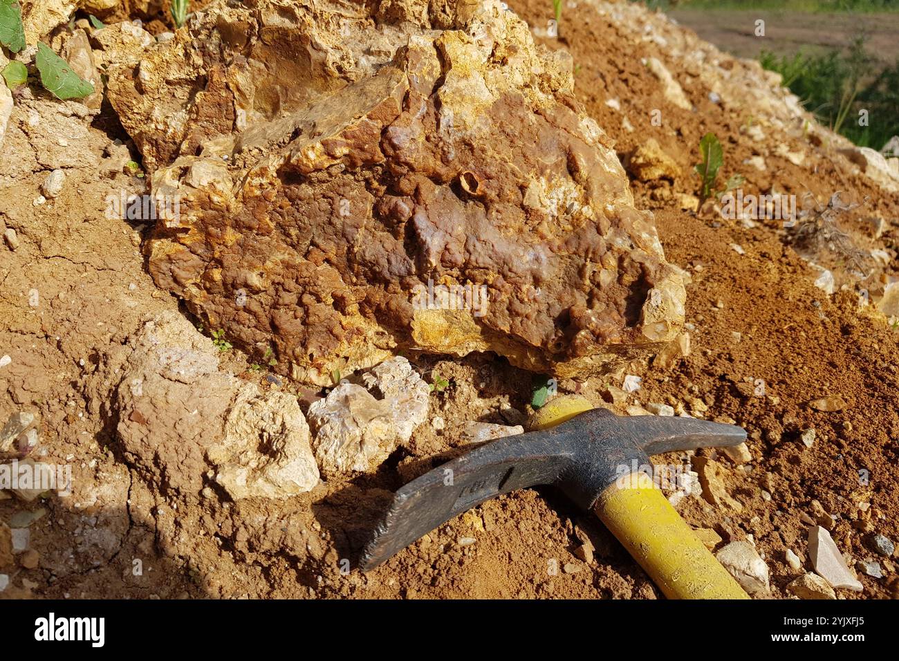 Large fragment of siliceous rock with chalcedony lying on the ground ...