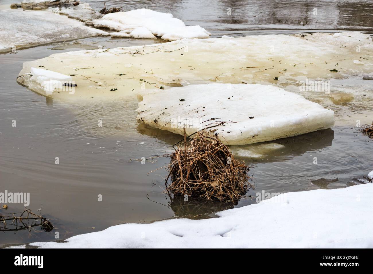 Ice chunks floating down the river during spring ice drift Stock Photo ...