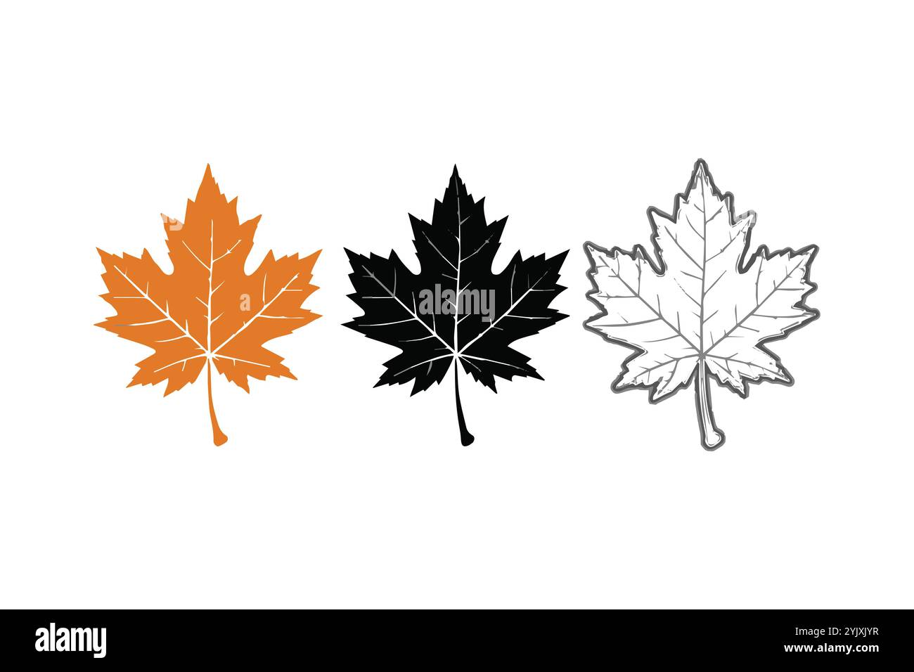 Maple leaves branch branch Cut Out Stock Images & Pictures - Alamy