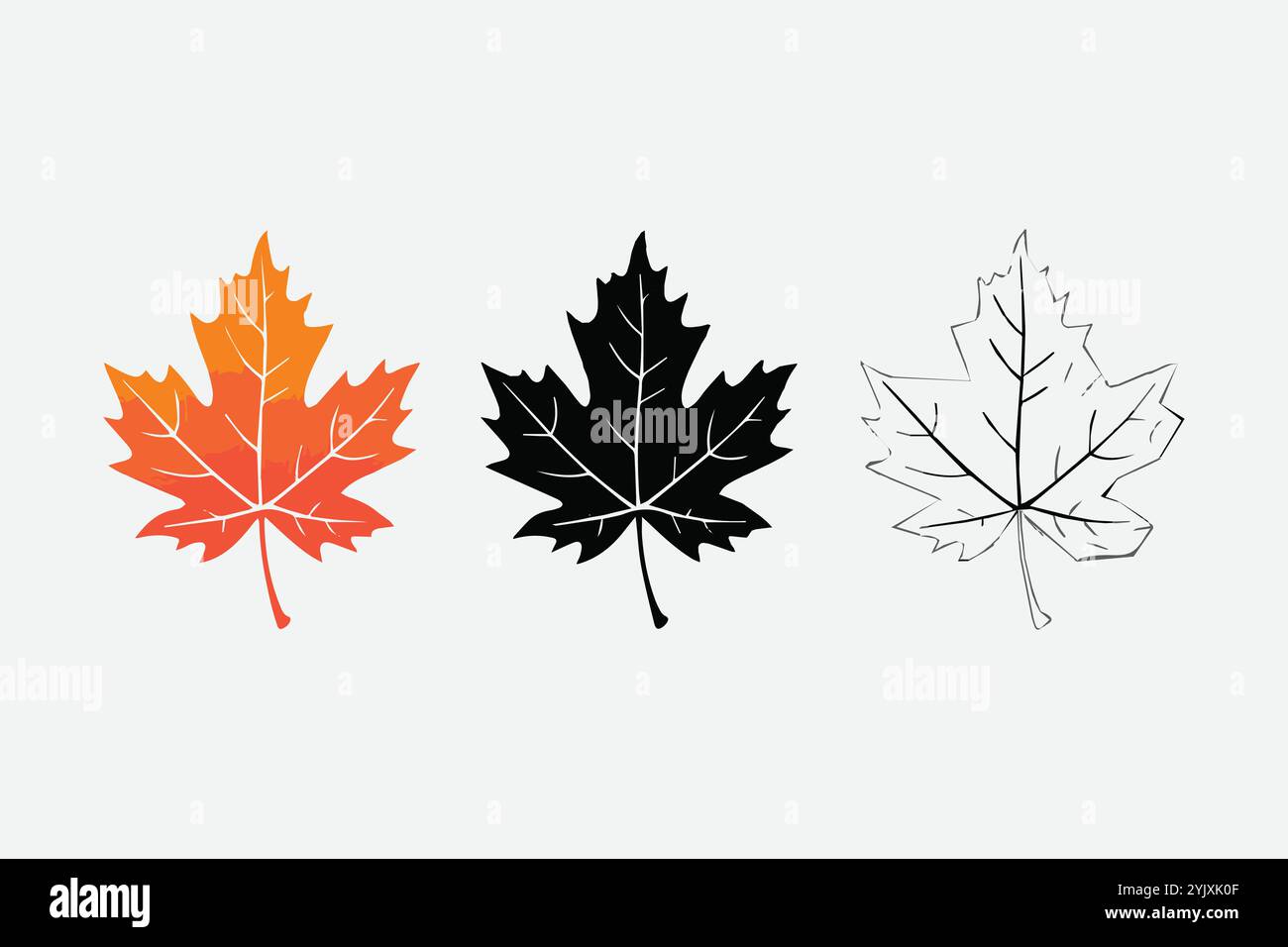 Set of maple leaves vector icons on white background Stock Vector Image & Art - Alamy