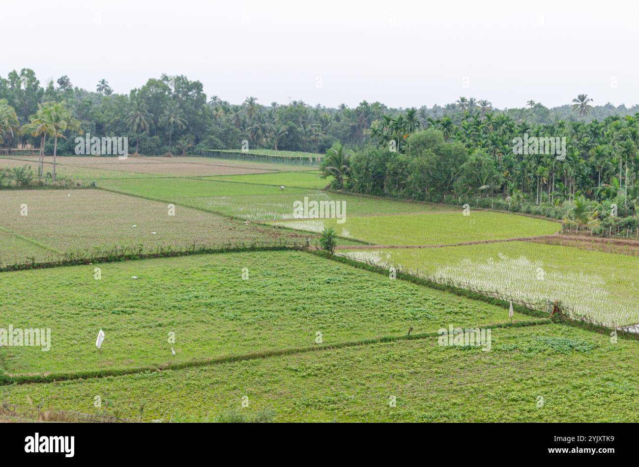 Beautiful landscape of rural India along the Konkan Railway route from ...
