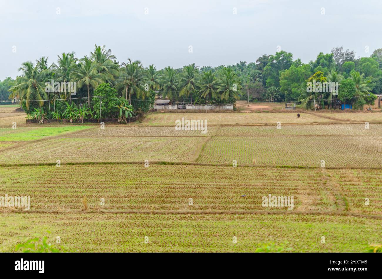 Beautiful landscape of rural India along the Konkan Railway route from ...