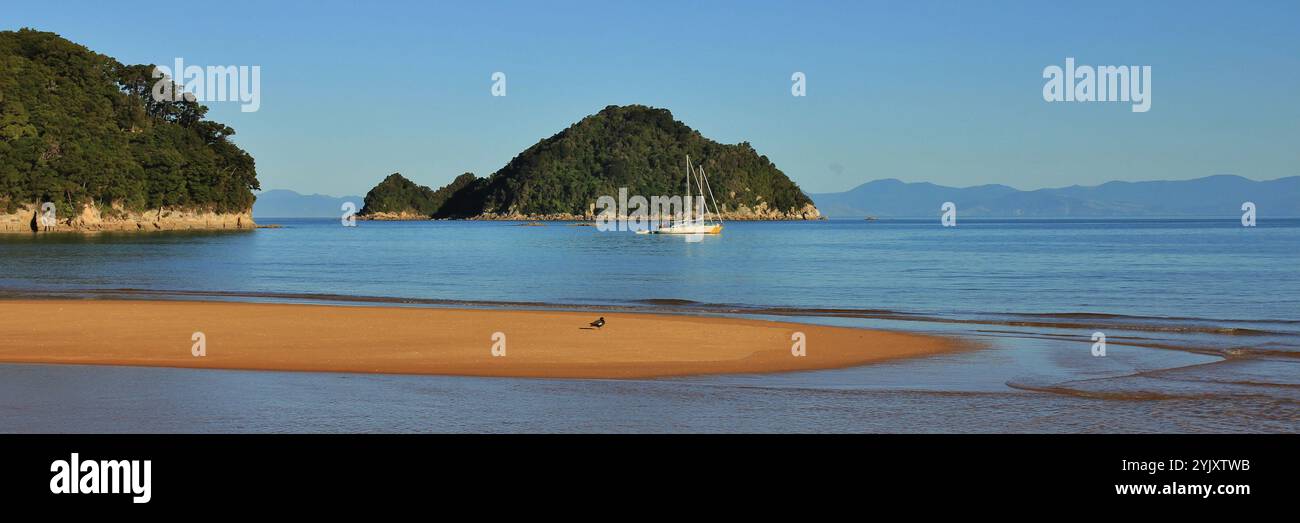 Tonga Island, Abel Tasman National Park, New Zealand Stock Photo - Alamy