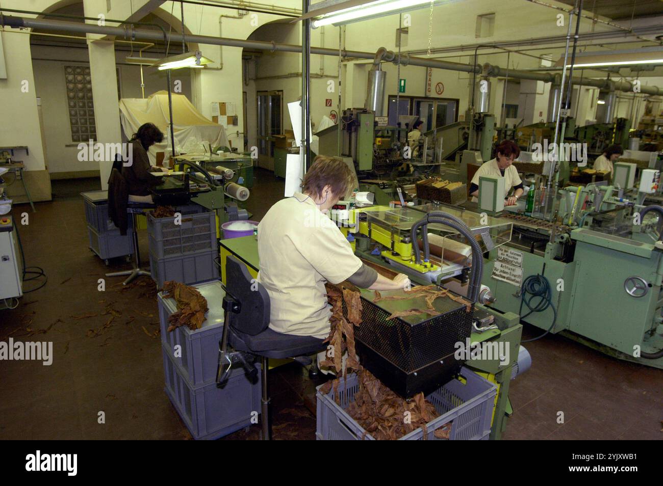 the production and processing of tobacco goods in a factory production ...
