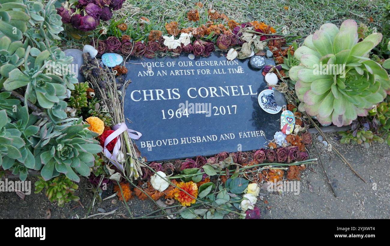 Los Angeles, California, USA 14th November 2024 Musician/Singer Chris ...