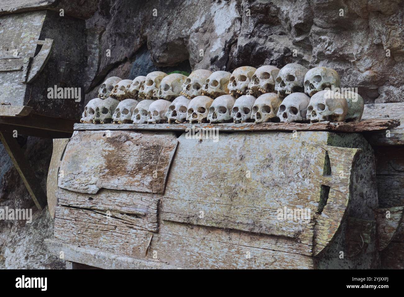 A pile of human skull heads at the Buntu Kesu cemetery which is more ...