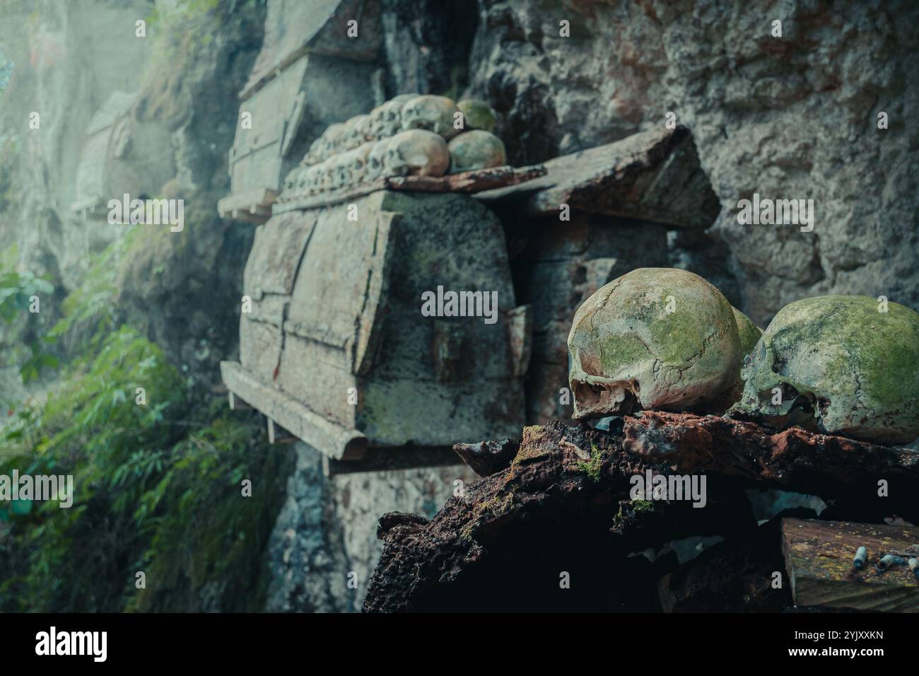 A pile of human skull heads at the Buntu Kesu cemetery which is more ...