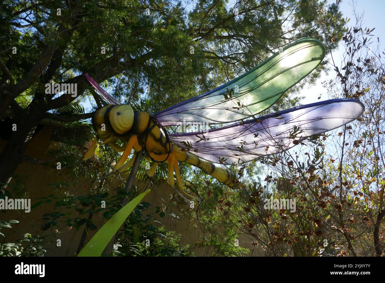 Los Angeles, California, USA 13th November 2024 Zoo Lights Dragonfly at ...