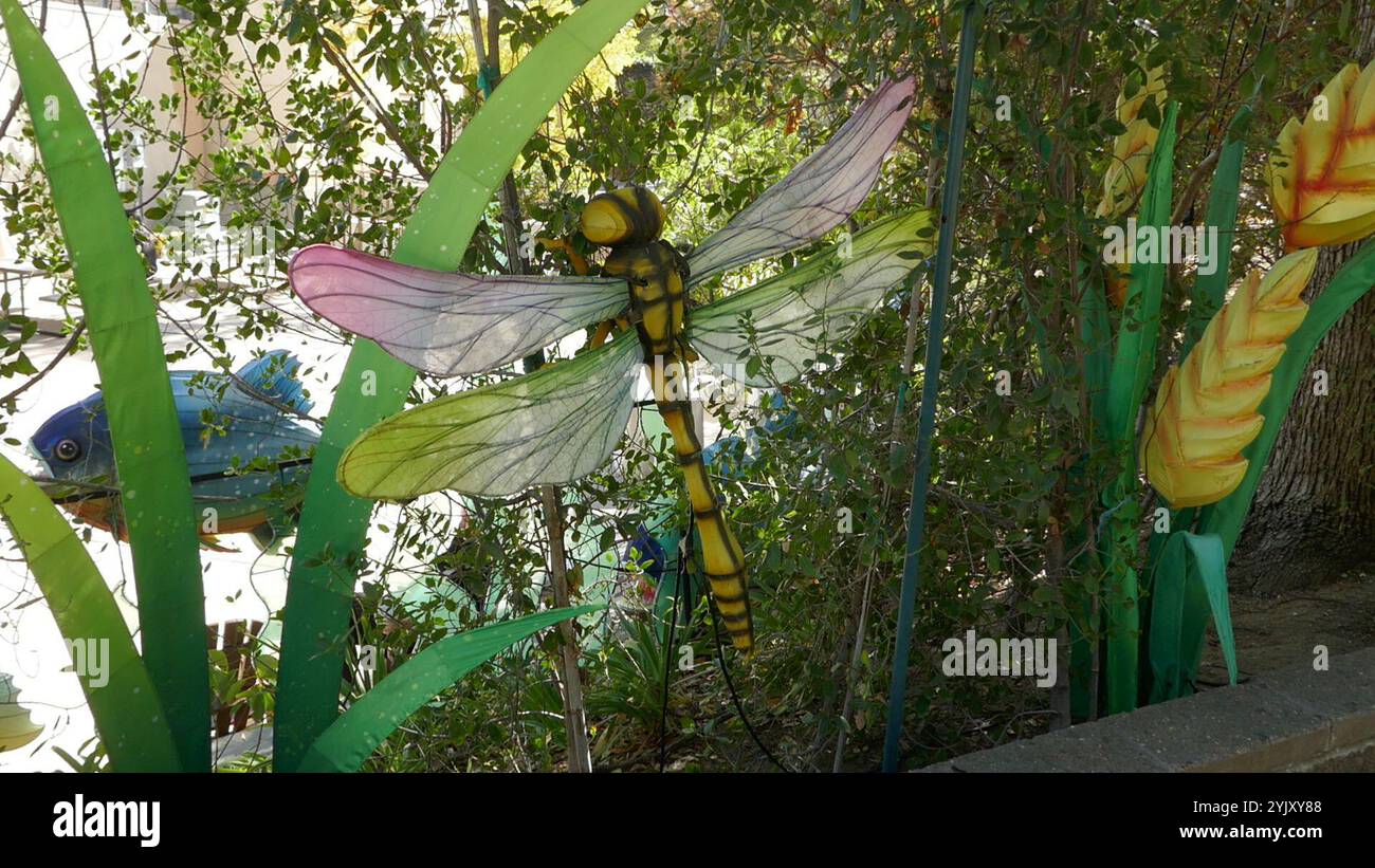 Los Angeles, California, USA 13th November 2024 Zoo Lights Dragonfly at ...