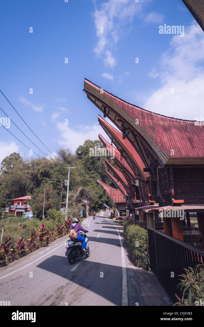 Rows of Toraja Tongkonan Traditional Houses on a street in the Tana ...