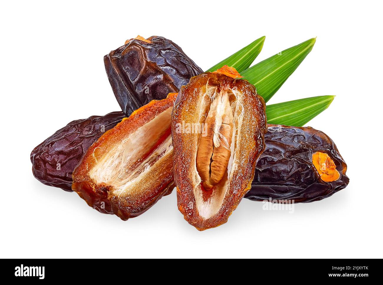 Date palm isolated on white background. date plam clipping path Stock ...