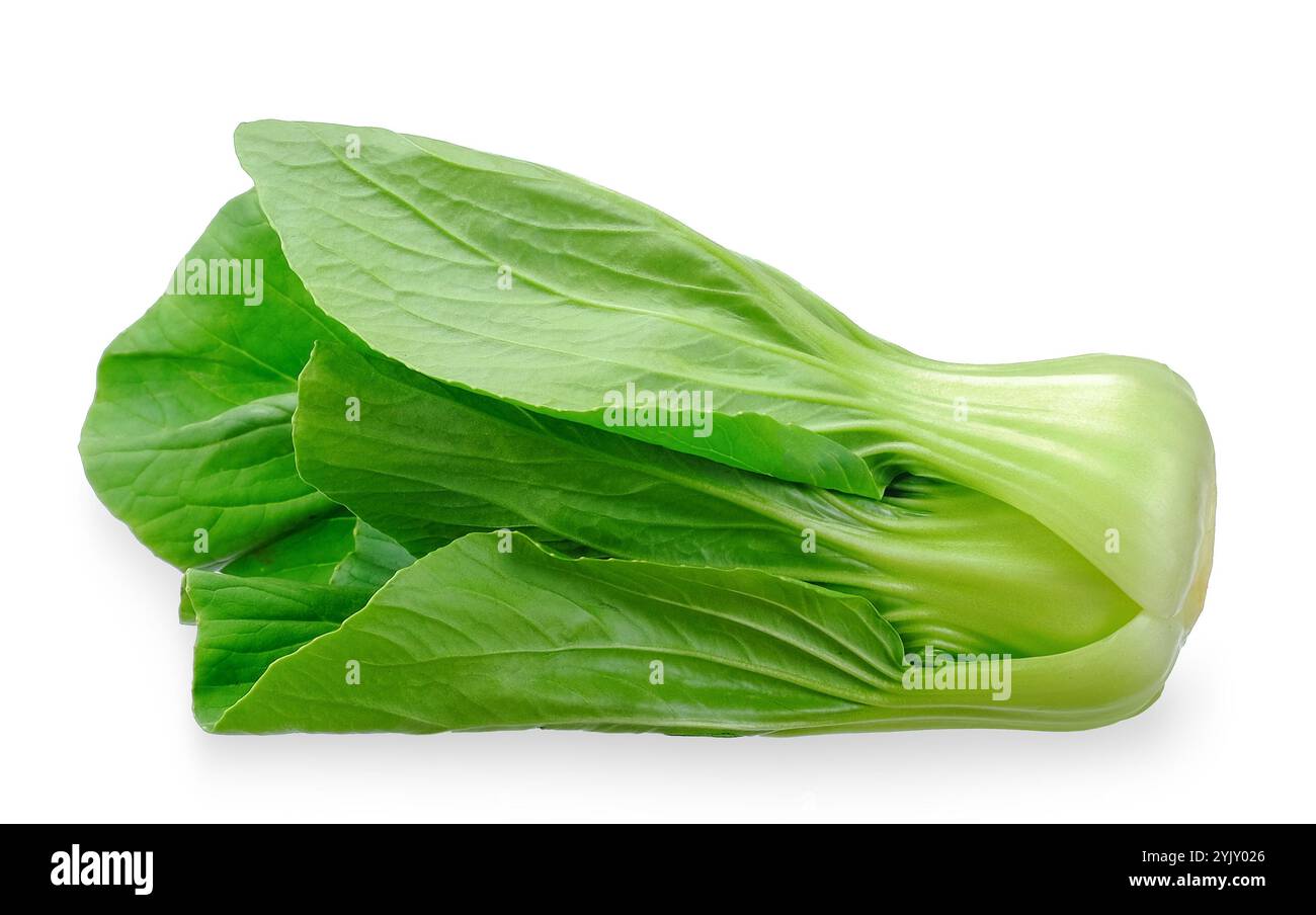 Bok choy vegetable isolated on white background. bok choy clipping path ...