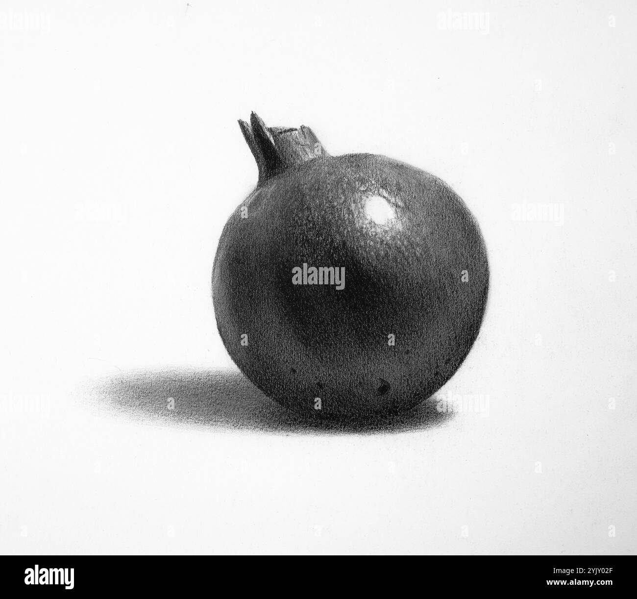 Monochromatic art realistic fruit sketch hand rendered illustration hi ...