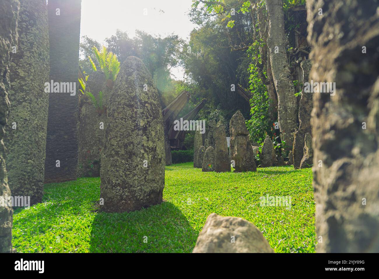 Megaliths or menhirs of Tana Toraja. Old torajan burial site in Bori ...