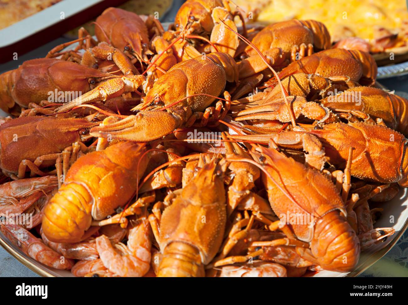 Close up crawfish in hi-res stock photography and images - Alamy