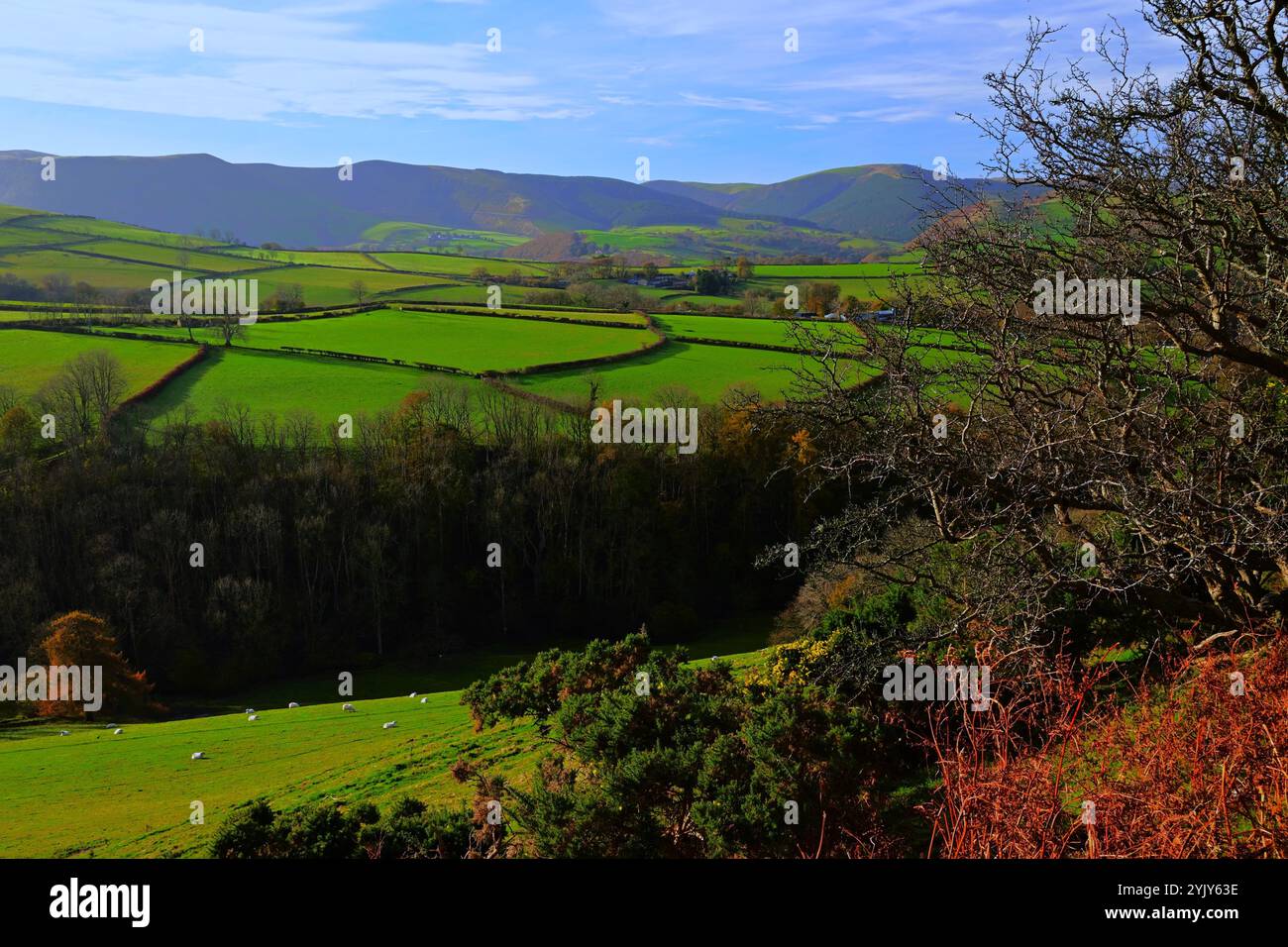 Machynlleth and llanidloes road view west hi-res stock photography and ...