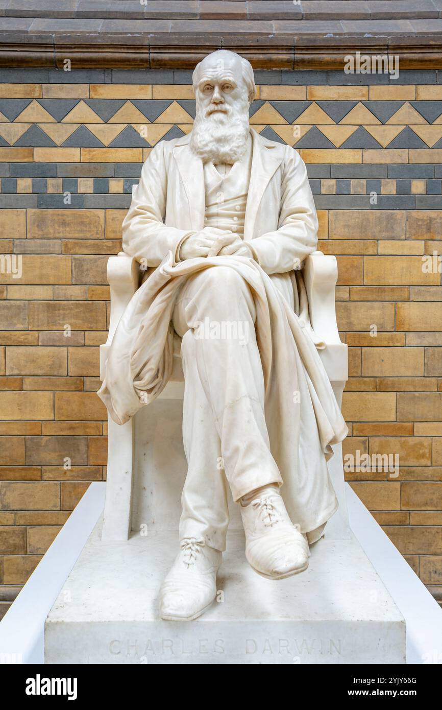 Life-size white stone statue of Charles Darwin located at the top of ...