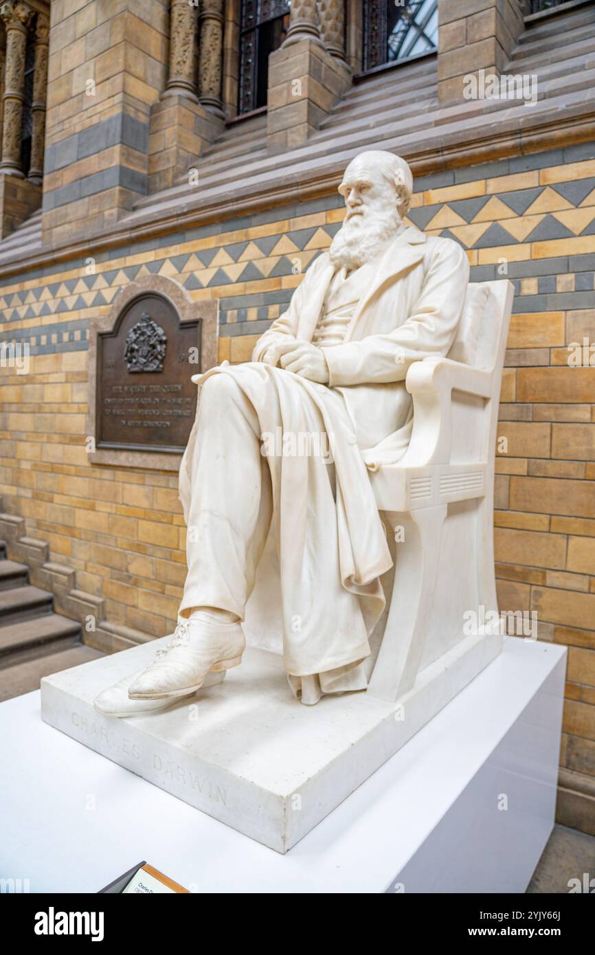 Life-size white stone statue of Charles Darwin located at the top of ...