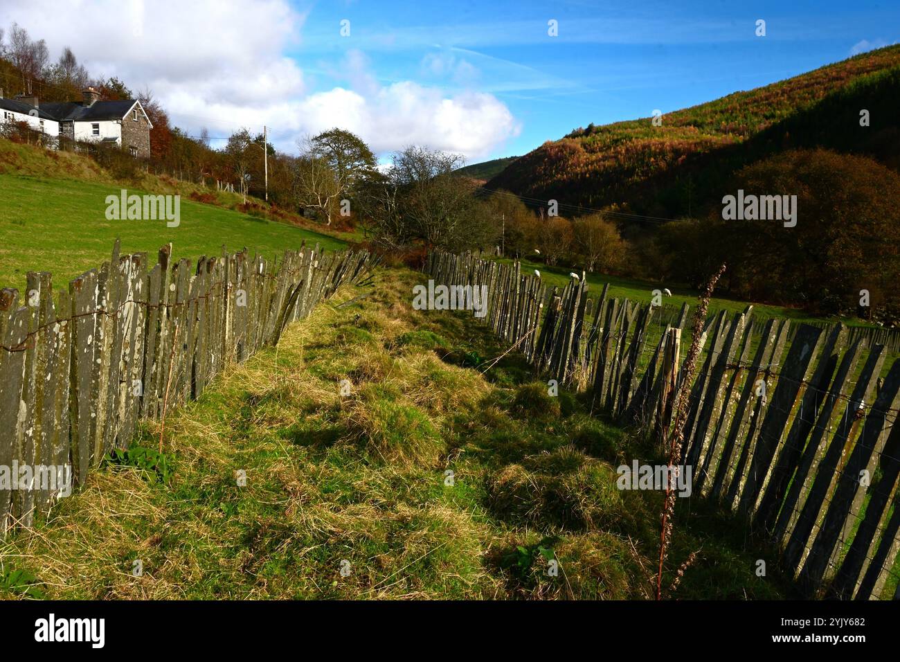 Old corris railway trackbed hi-res stock photography and images - Alamy