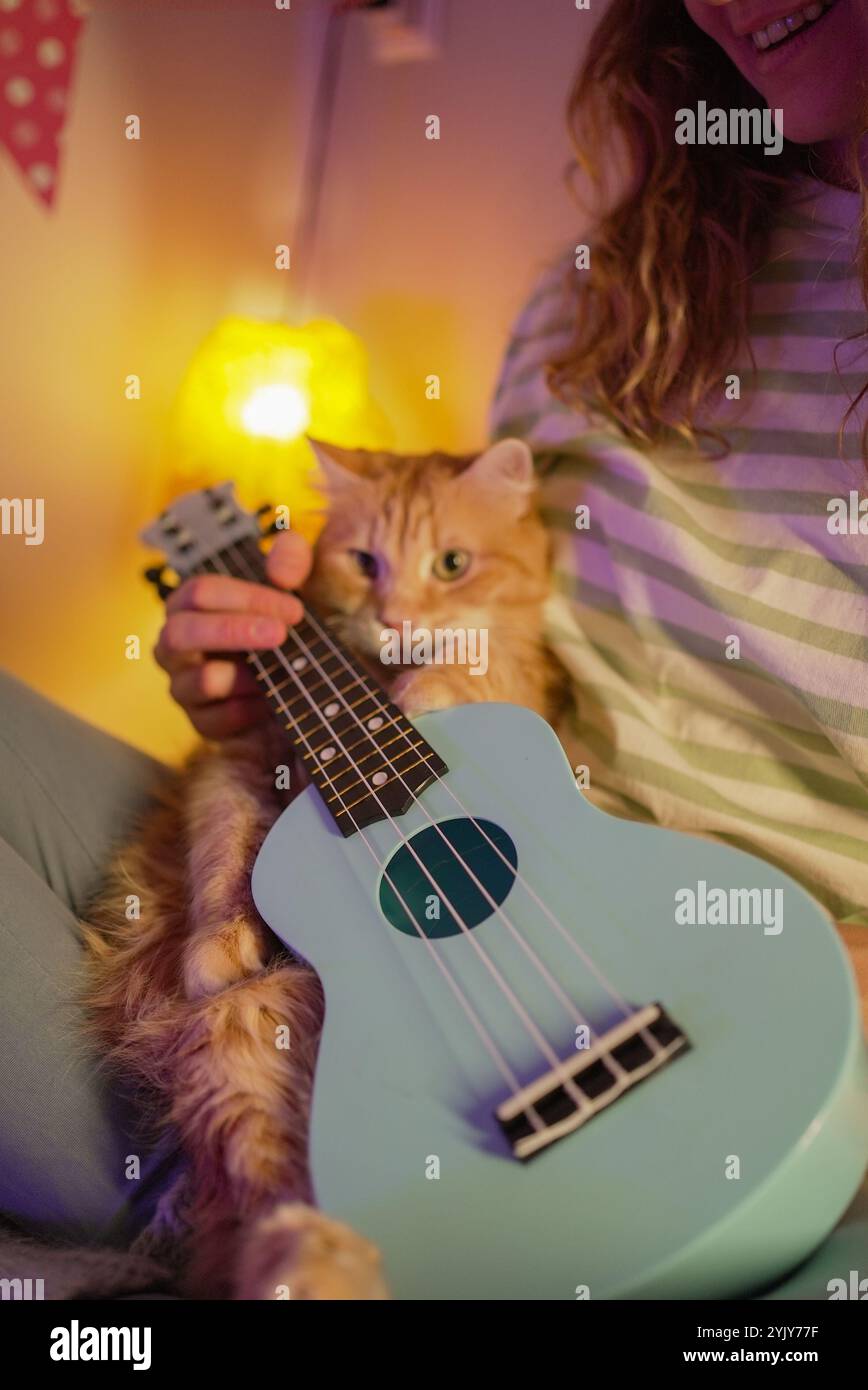 Ukulele cat hi-res stock photography and images - Alamy