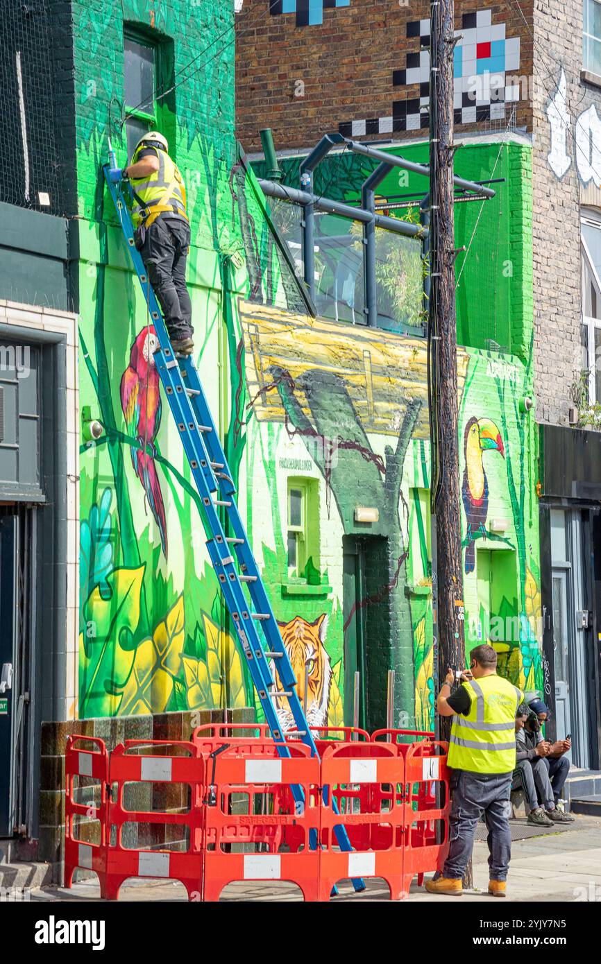 individual at the top of a ladder working on a green painted wall in ...