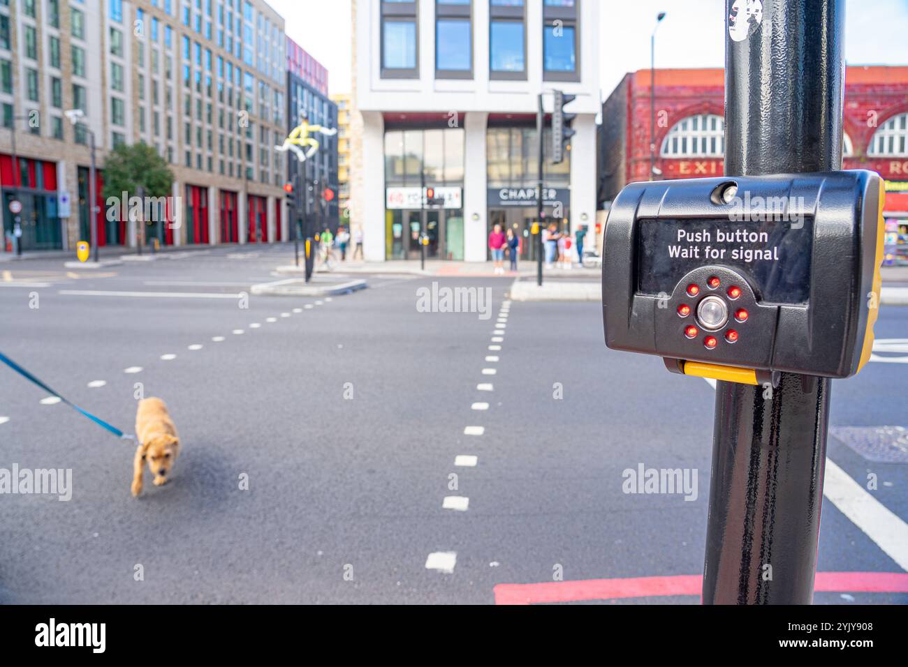 button and green signal activation to give way to pedestrians on the ...