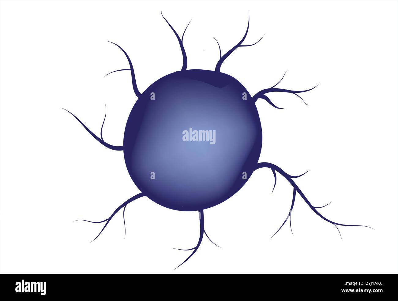 Dendritic cells hi-res stock photography and images - Alamy