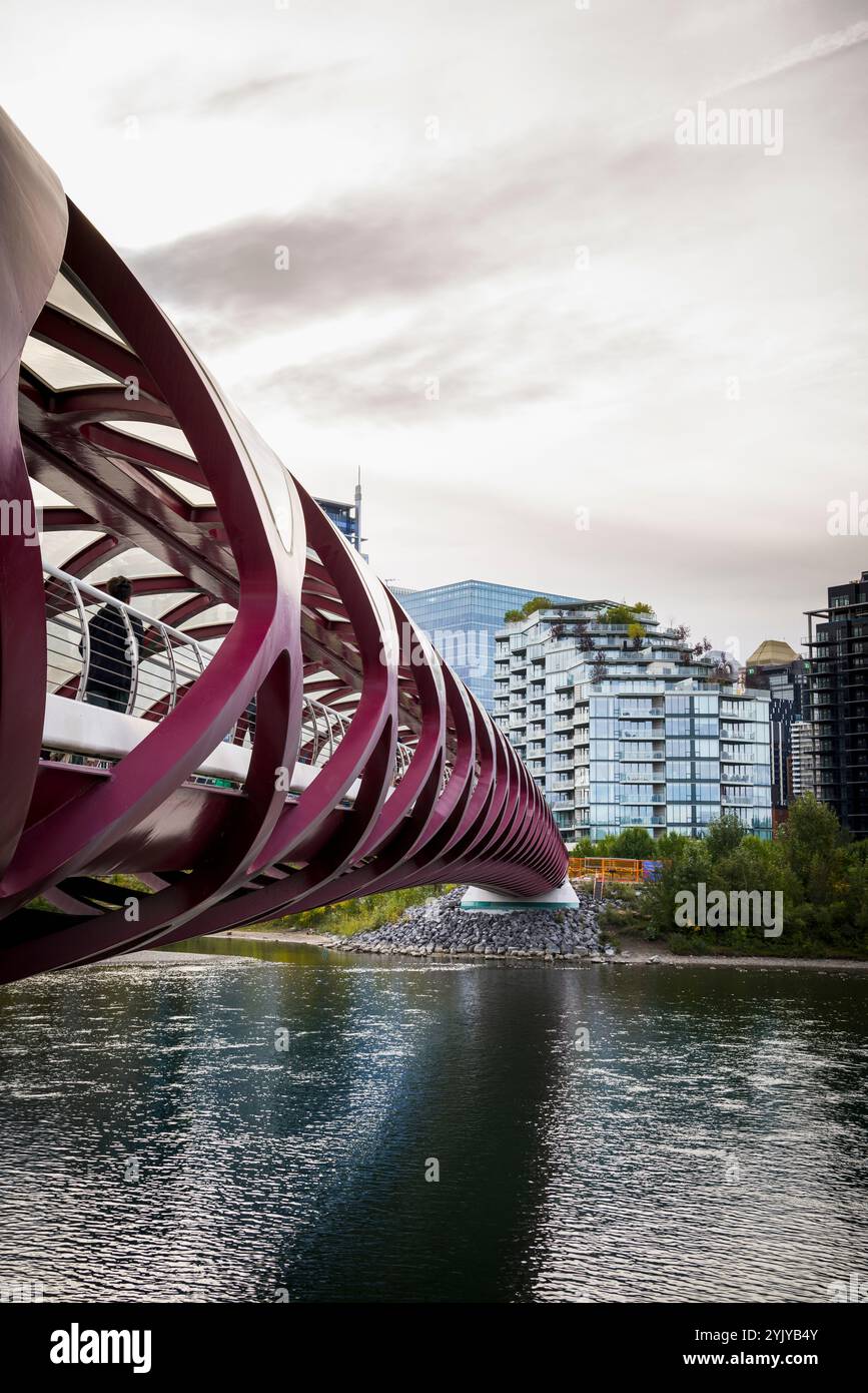 Travel destination Calgary. Peace Bridge across Bow River with Modern ...